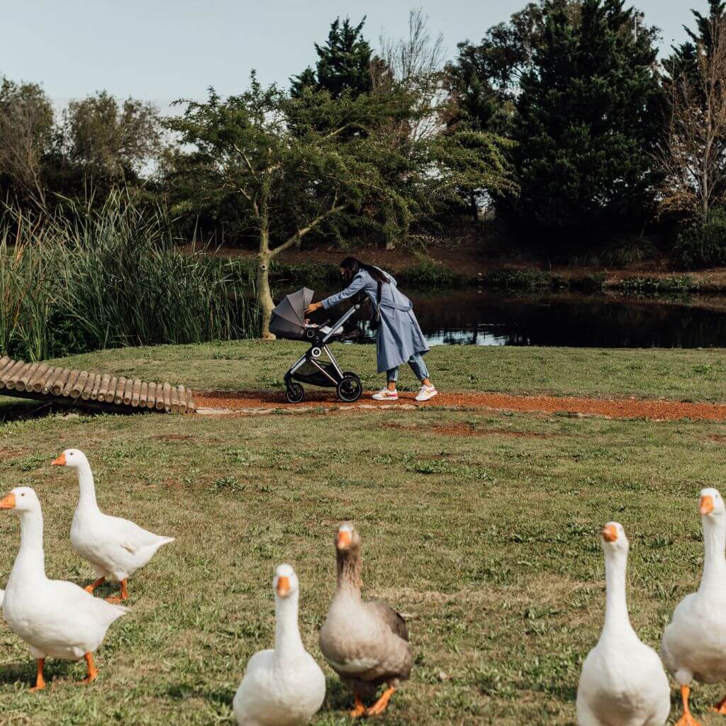 The Luxe - Buy Premium Prams and Strollers Online | NOOLA®